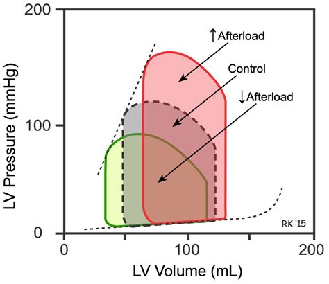 Cv Physiology Interdependent Effects Of Preload Afterload And Inotropy On Ventricular