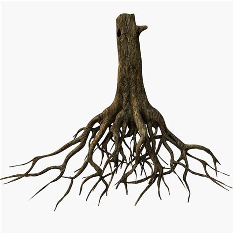 Tree And Roots Vector Clip Art Library