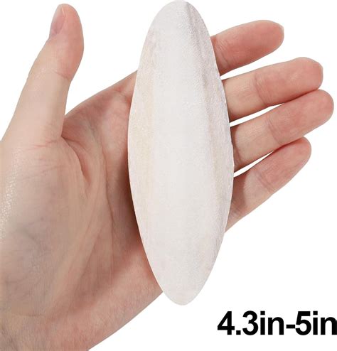Zuimei 6 Pcs Cuttlefish Bone Parrots Chew Toys Natural Cuttlebone Toys