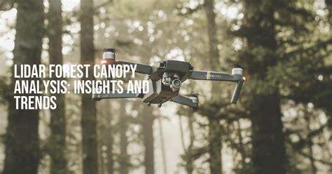 Lidar Forest Canopy Analysis Insights And Trends
