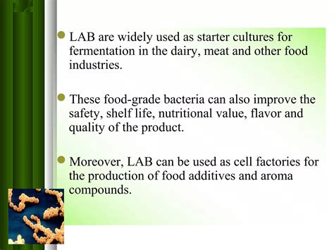 Classification Of Lactic Acid Bacteria Ppt