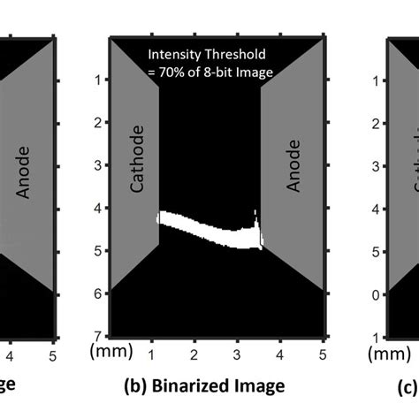Image Processing A Original 8 Bit Image B Converted Binary Image