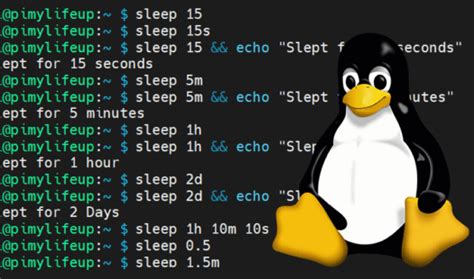 Linux Commands Pi My Life Up