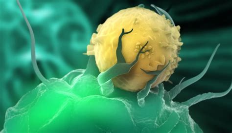 Vaccine Targeting Dendritic Cells Produces Robust Immunity In Advanced Cancer Cancer Therapy