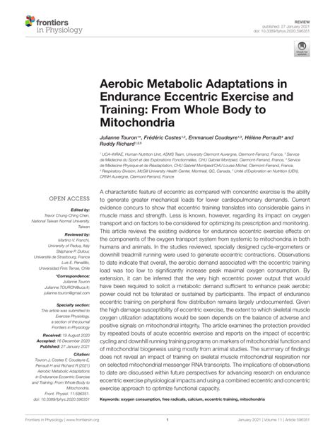 (PDF) Aerobic Metabolic Adaptations in Endurance Eccentric Exercise and Training: From Whole ...