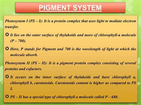 Chloroplast And Light Reaction Ppt