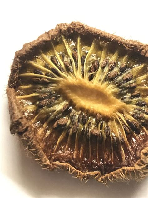 Pin By Holly Hope On Decay Of Fruit Exam Rotten Fruit Fruit Painting