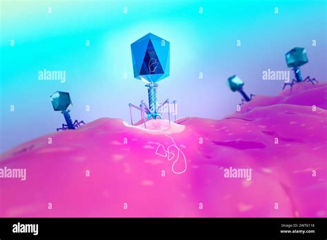 Illustration Of An Escherichia Virus T4 Bacteriophage On An E Coli Bacterium The Bacteriophage
