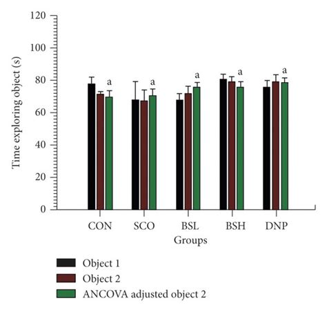 Effect Of Bse On The Time Exploring Objects In The Novel Objective