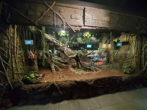 jul 2019 reptile and amphibian house reticulated python exhibit