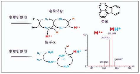 方案分享 如何高效提升gc Msms定量灵敏度和选择性 知乎
