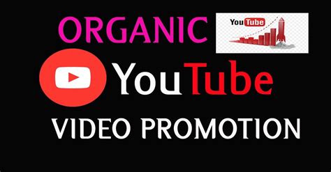 Nusrat Jahan Muna On Linkedin I Will Do Organic Youtube Video Promotion Fiverr