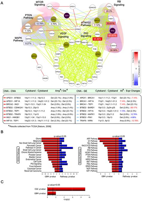 Analysis Of Gbm Module 2 A A Network View Of Gbm Module 2 Using Only Download Scientific
