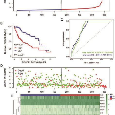 Validation Of The Prognostic Model Based On The 10 Immune Related