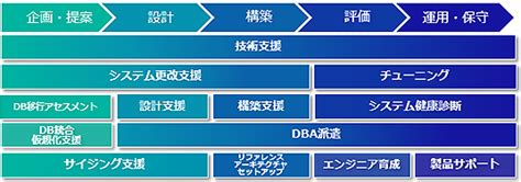 プロフェッショナルサービス RDBMS Microsoft SQL Server NEC