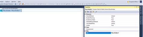 ASP NET PlaceHolder Learn The The Example Of ASP NET PlaceHolder