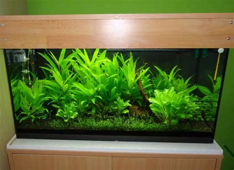 Rybickynet Fotogalerie