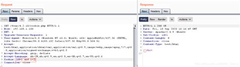 Sql注入之cookie注入攻击 Csdn博客