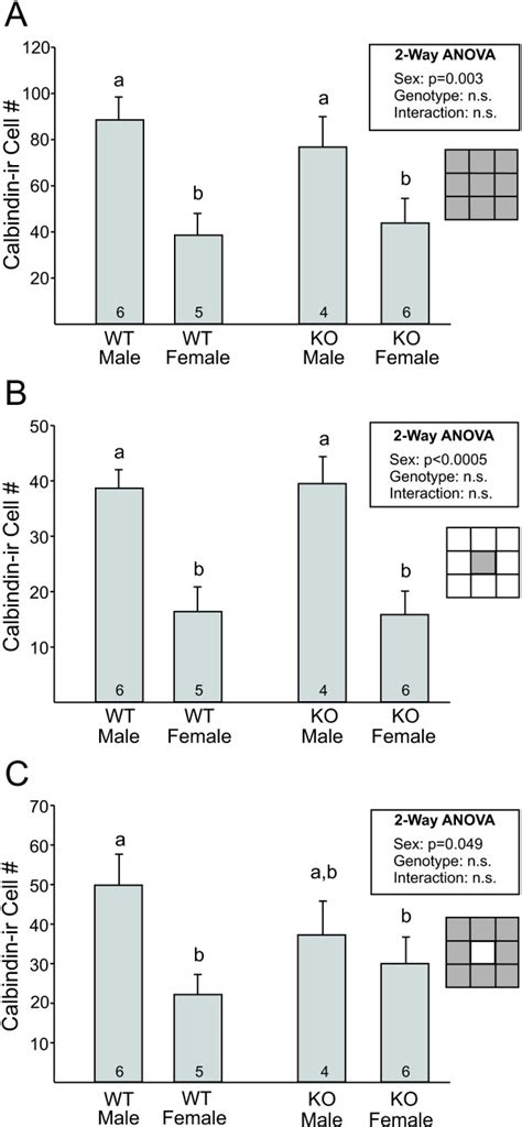 Grid Analysis Of Calbindin Immunoreactive Ir Cells In And Around The Download Scientific
