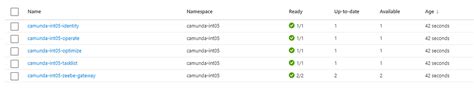 Self Managed Aks Cluster Not Starting Properly With Web Modeler