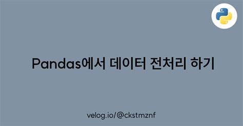 Python Pandas에서 데이터 전처리 하기
