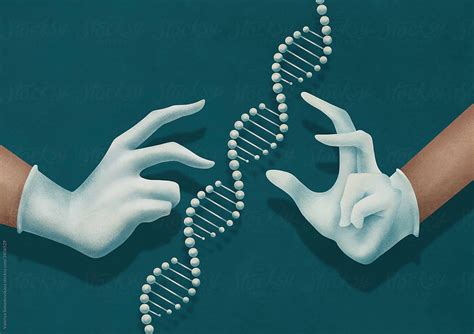 Genomics Experiment Illustration By Stocksy Contributor Valeriya