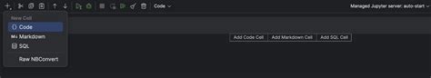 Create And Edit Jupyter Notebooks Dataspell Documentation