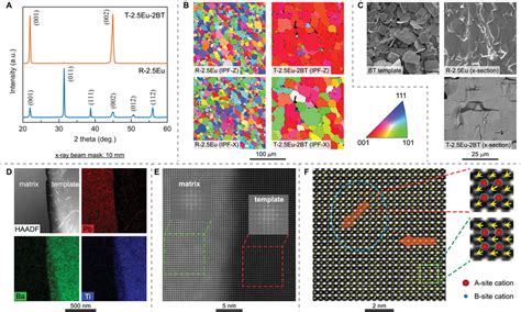 multiscale microstructures of random and textured eu³⁺‐doped pmn‐pt at