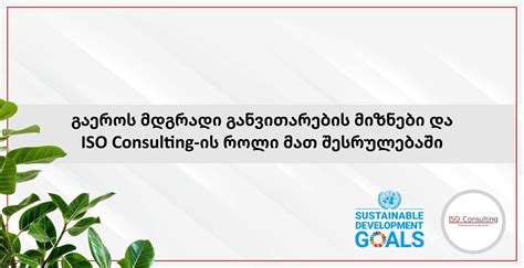 მდგრადი განვითარების მიზნები Isoconsulting