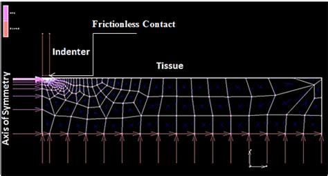 1 axisymmetric fem of soft tissue and rigid body indenter download