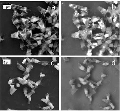 Sem Images Obtained With A C Se And B D Bse Detectors In The Same