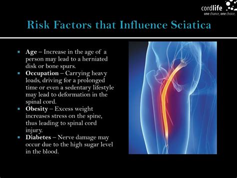 Ppt Approach Of Stem Cells In Treating Sciatic Nerve Injury