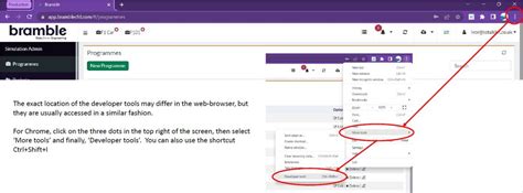 Accessing The Developer Console Bramblecfd
