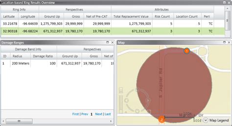 Dynamic Ring Option