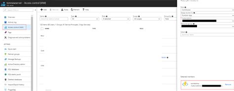 Grant Azure Function Access To Arm Rest Api Stack Overflow