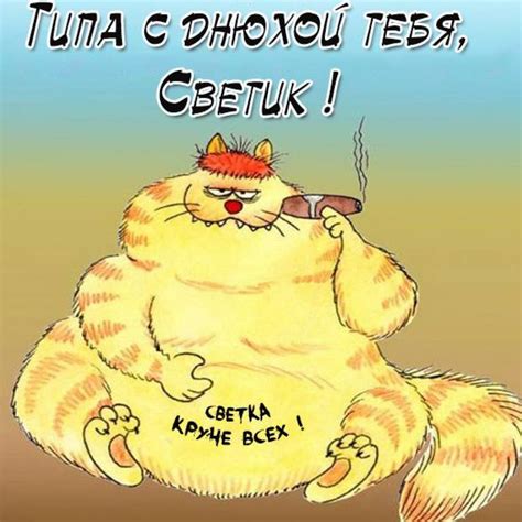 Открытка с днем рождения Светик с приколом скачать бесплатно