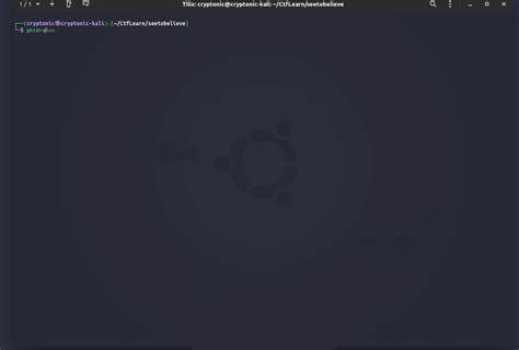 Ghidra 🐲 Cryptonic Ctf Solves