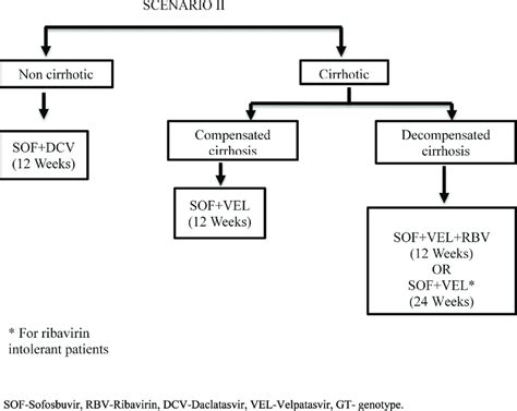 Treatment Algorithm For Hepatitis C Virus Patients Under National