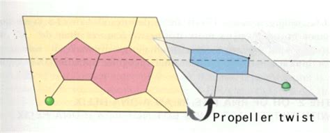 BIOC B Part Flashcards Quizlet