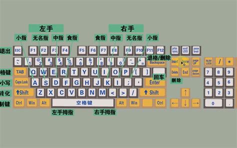 真正零基础学电脑打字—入门教程 哔哩哔哩