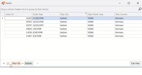 Filter And Search Winforms Controls Devexpress Documentation