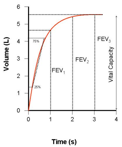 Spirometry Interpretation Flashcards Quizlet