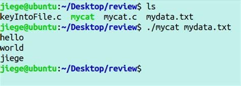 【linux】文件操作函数 Cat命令 Cp命令简单仿写仿写 Linux 下的 Cp 命令 Csdn博客