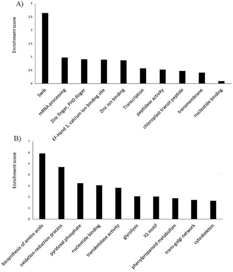 Major Functional Clusters Enriched Among The Differentially Accumulated