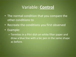 Steps Of The Scientific Method PPT