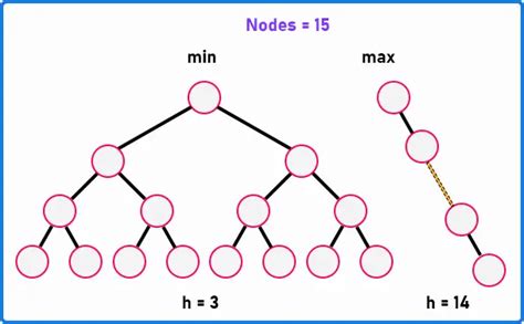 height vs nodes in a binary tree dot net tutorials