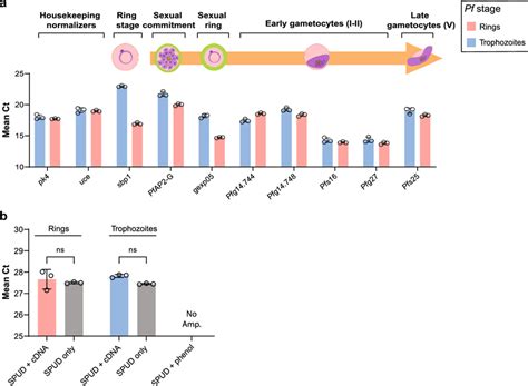 The Robot Automated Method Enables Precise Gene Expression Analysis By