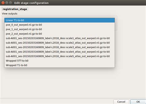 Graphical User Interface — Connectome Mapper 3