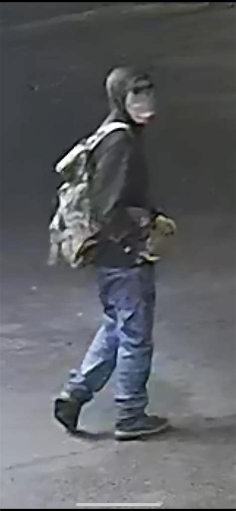 Brandon Alexander Lorenzi Feral Humans