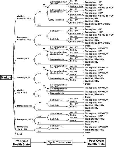 markov trees for ‘transplant and ‘discard policies which are the